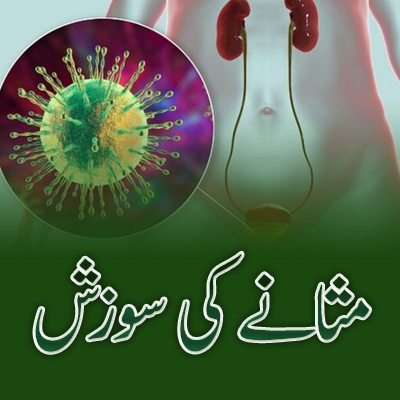Male Diseases – Uzfan Health Care